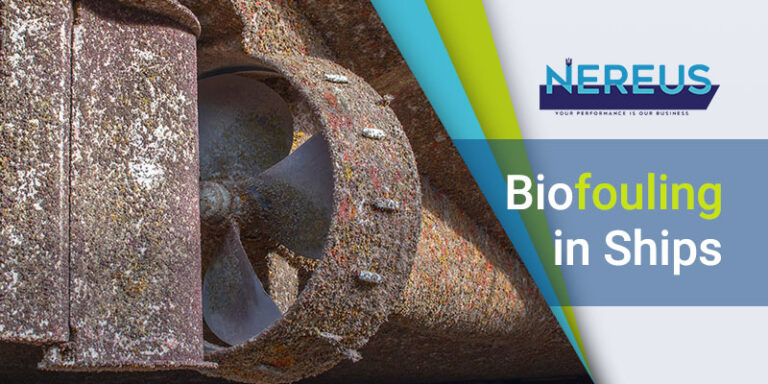 Significance of Biofouling in Ships – Nereus